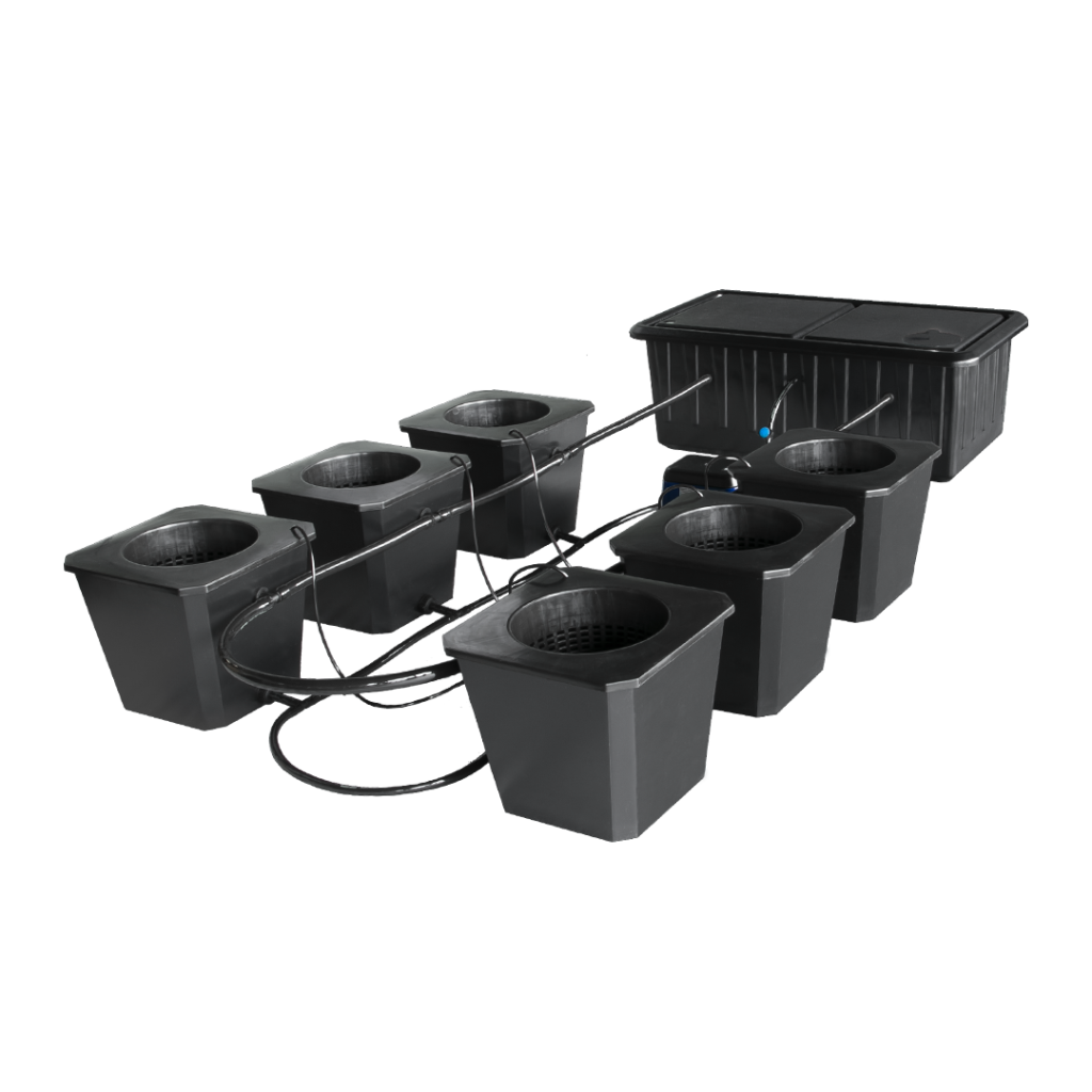 6-Site Bubble Flow Buckets Hydroponic Grow System - Grow Strong ...
