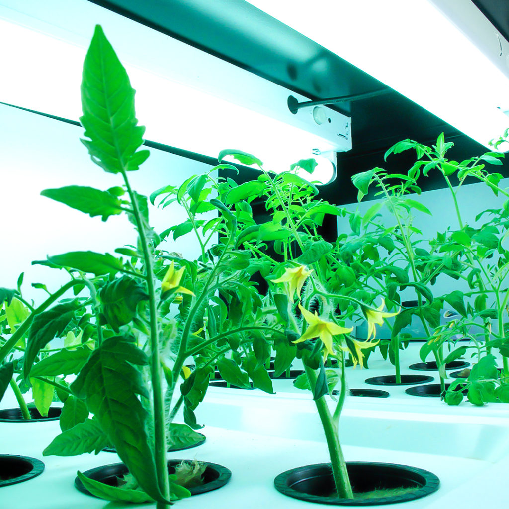 SuperCloner 50-Site Hydroponic Cloner System - Grow Strong Industries ...