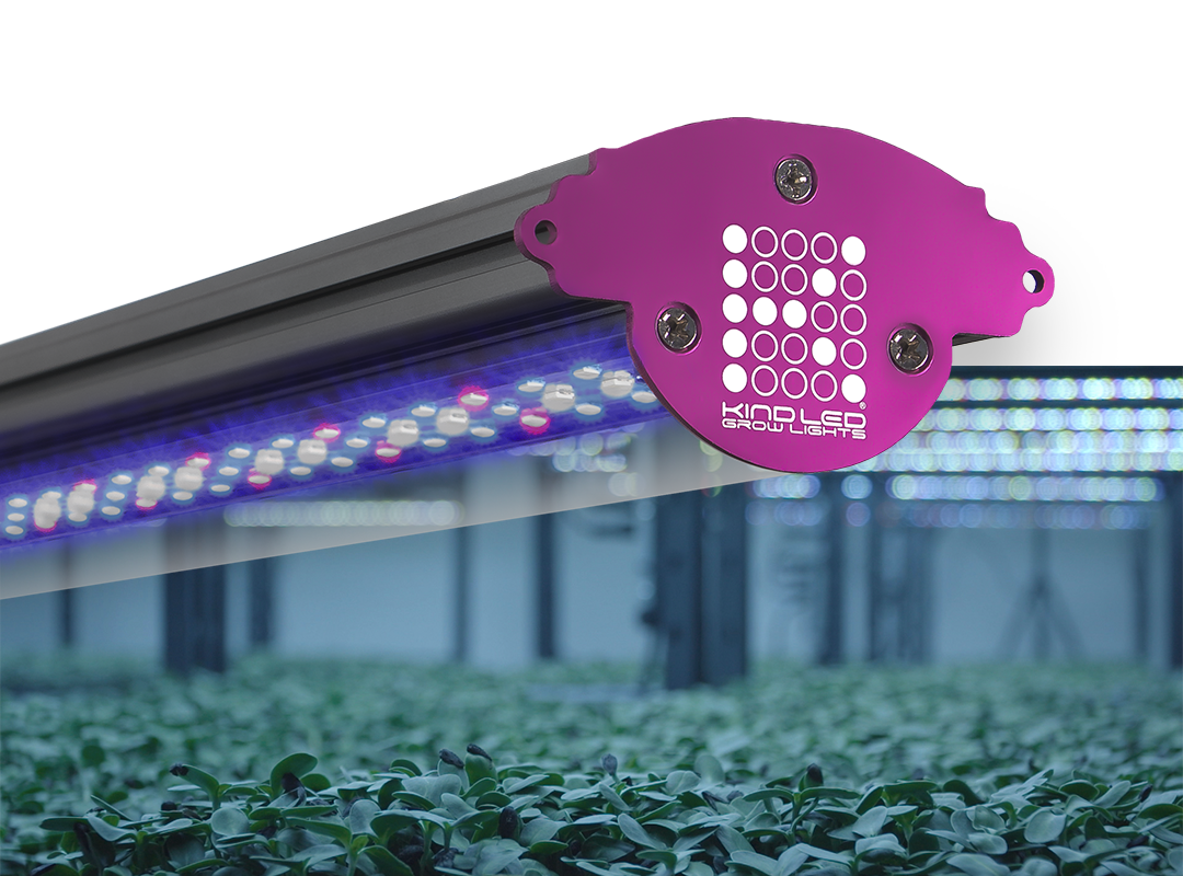 KIND LED X40/X80 Grow Light Bars - Grow Strong Industries Indoor ...