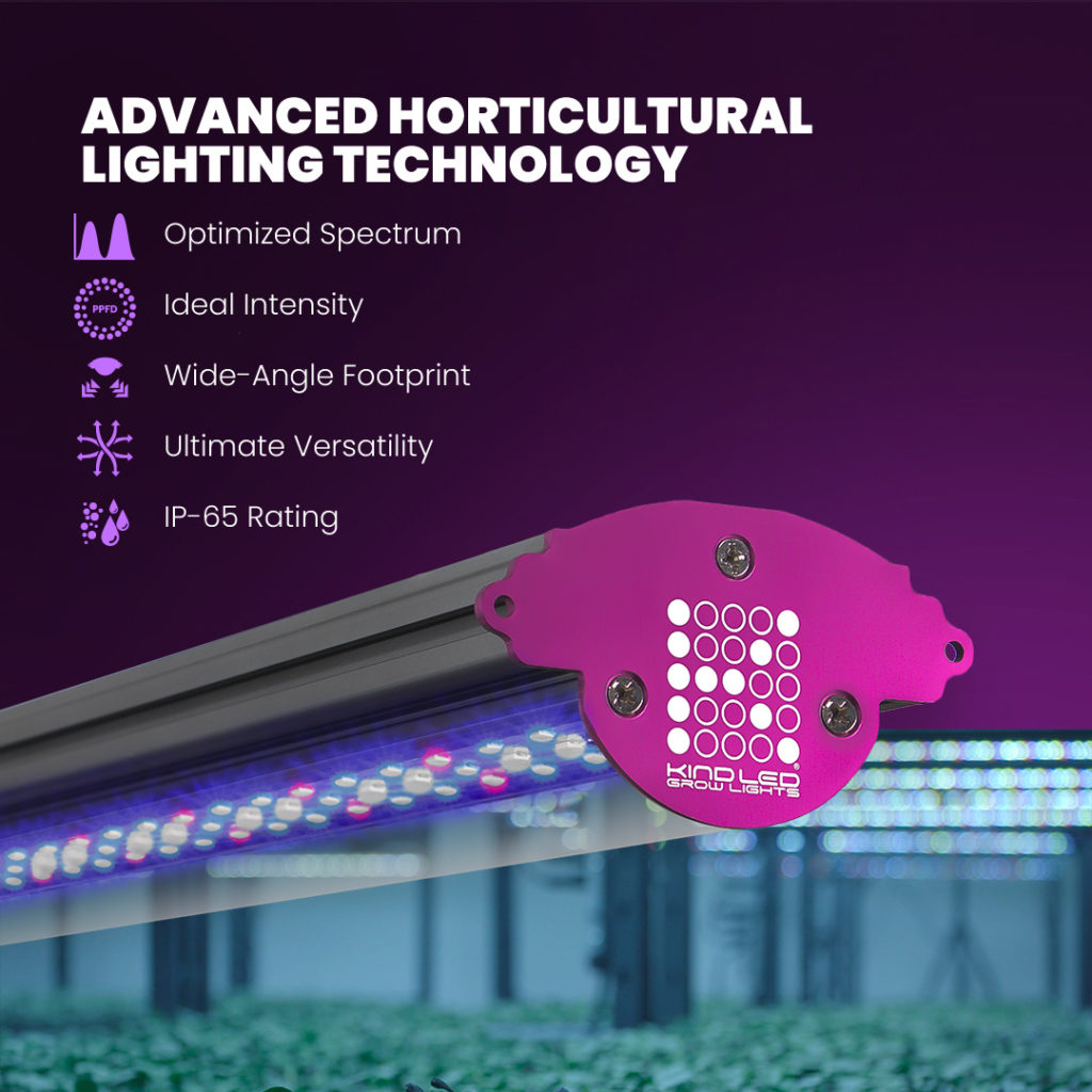 KIND LED X40/X80 Grow Light Bars - Grow Strong Industries Indoor ...