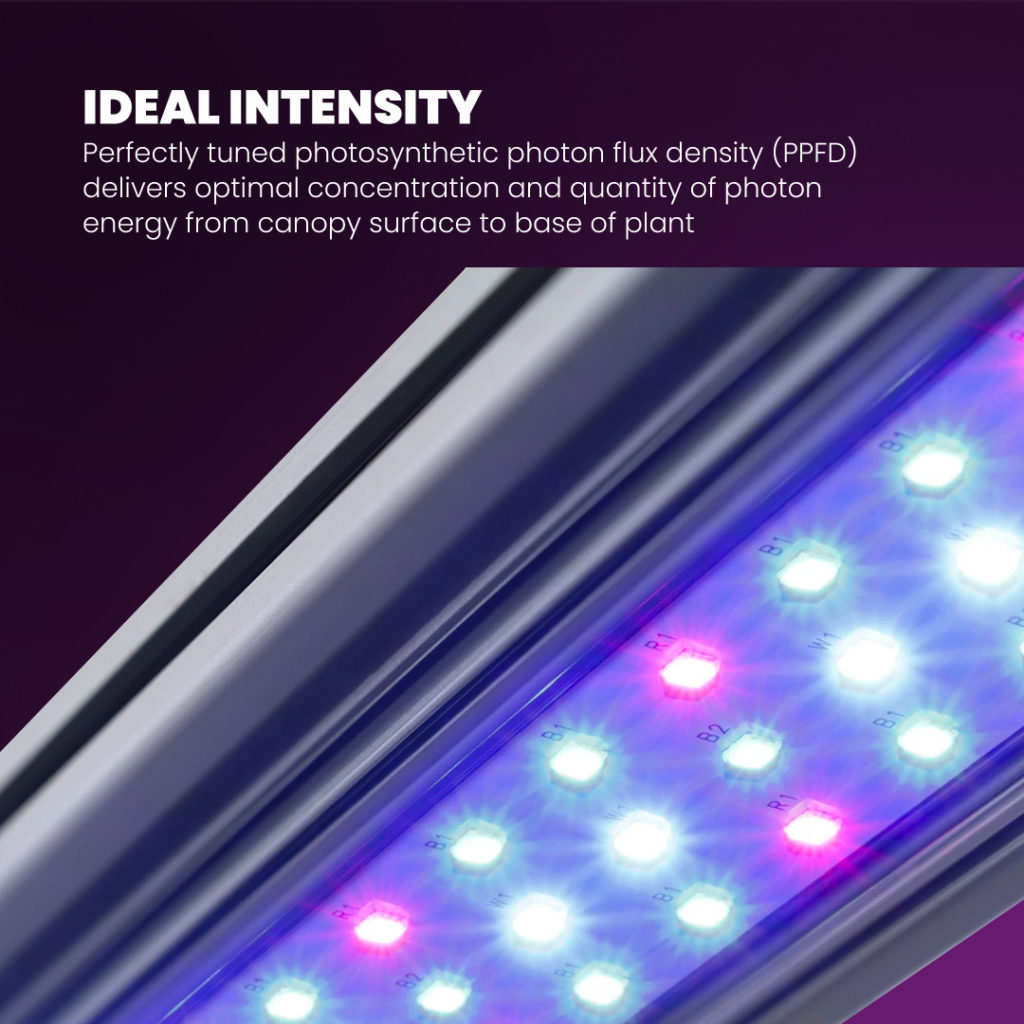 KIND LED X40/X80 Grow Light Bars - Grow Strong Industries Indoor ...