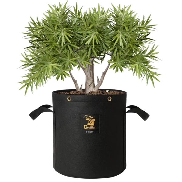 Gorilla 5 Gallon Grow Bag (4 Pack) - Grow Strong Industries Indoor ...
